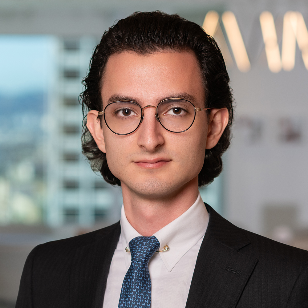 David Ter-Petrosyan | Dykema